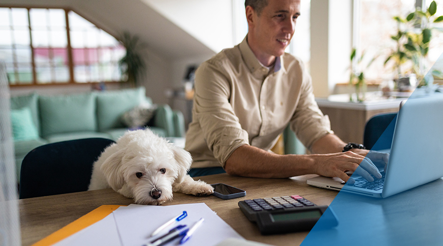 Accounting & Tax - Vincents